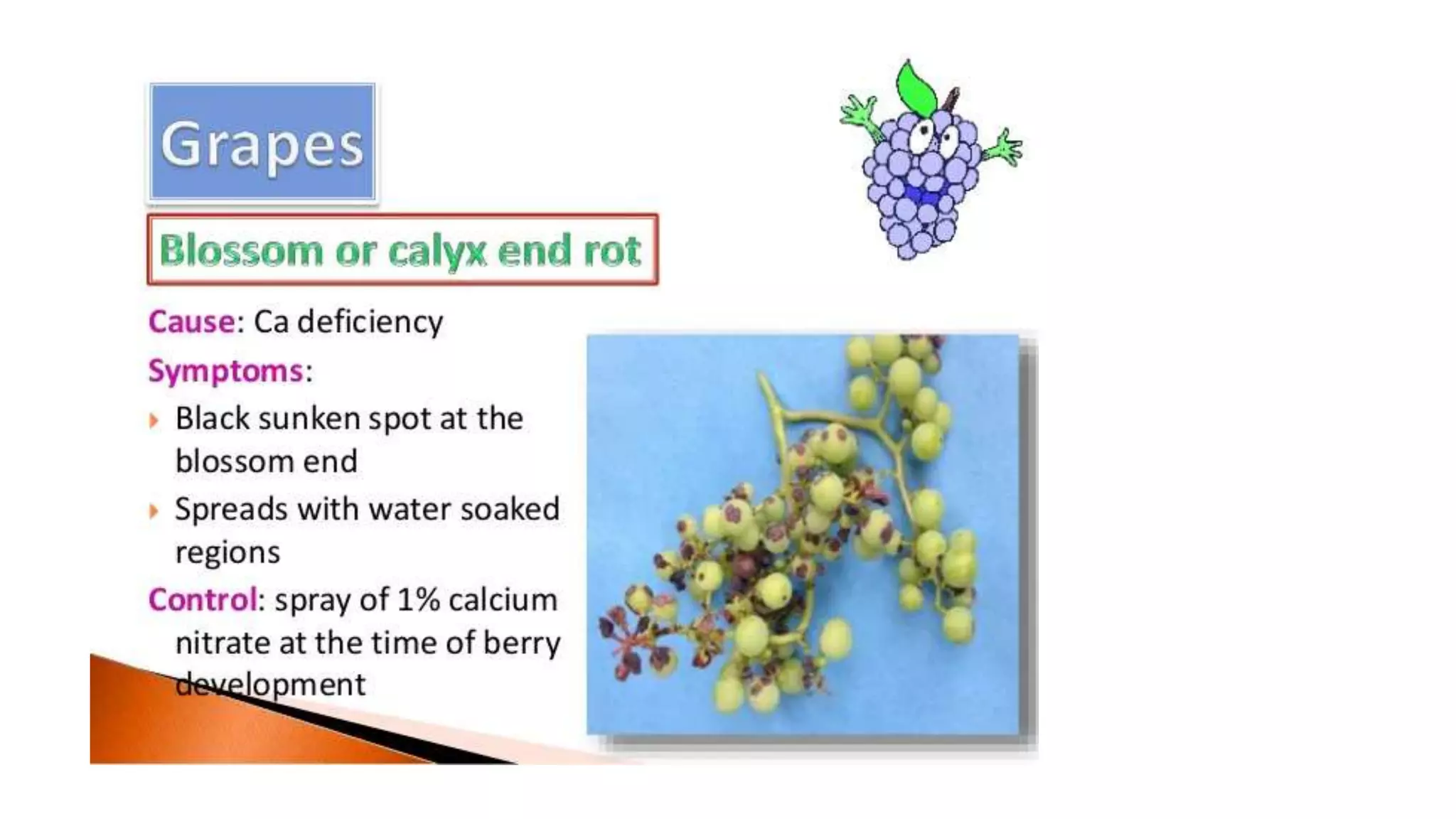 Macronutrient deficiency in plants | PPTX