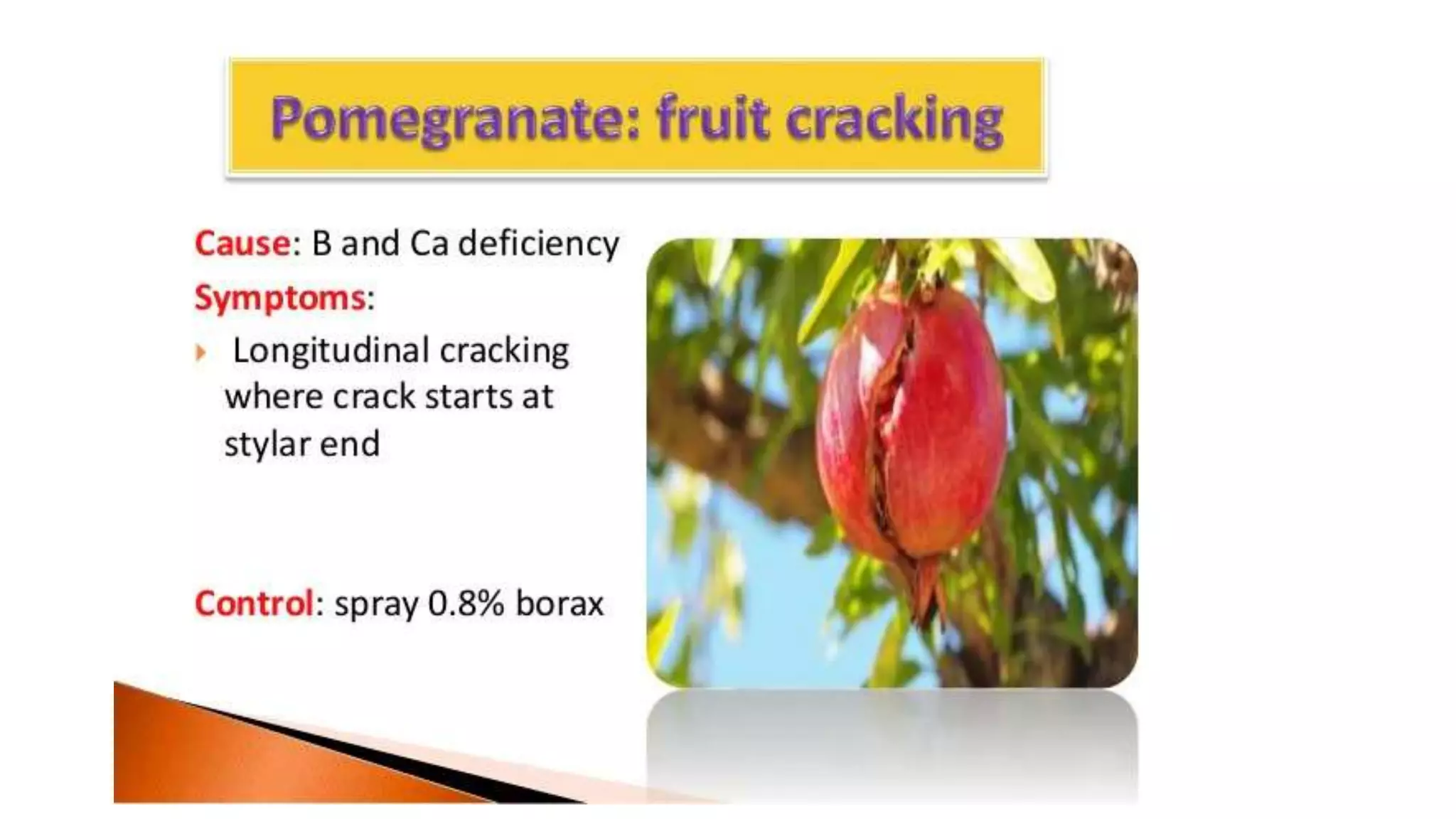 Macronutrient deficiency in plants | PPTX