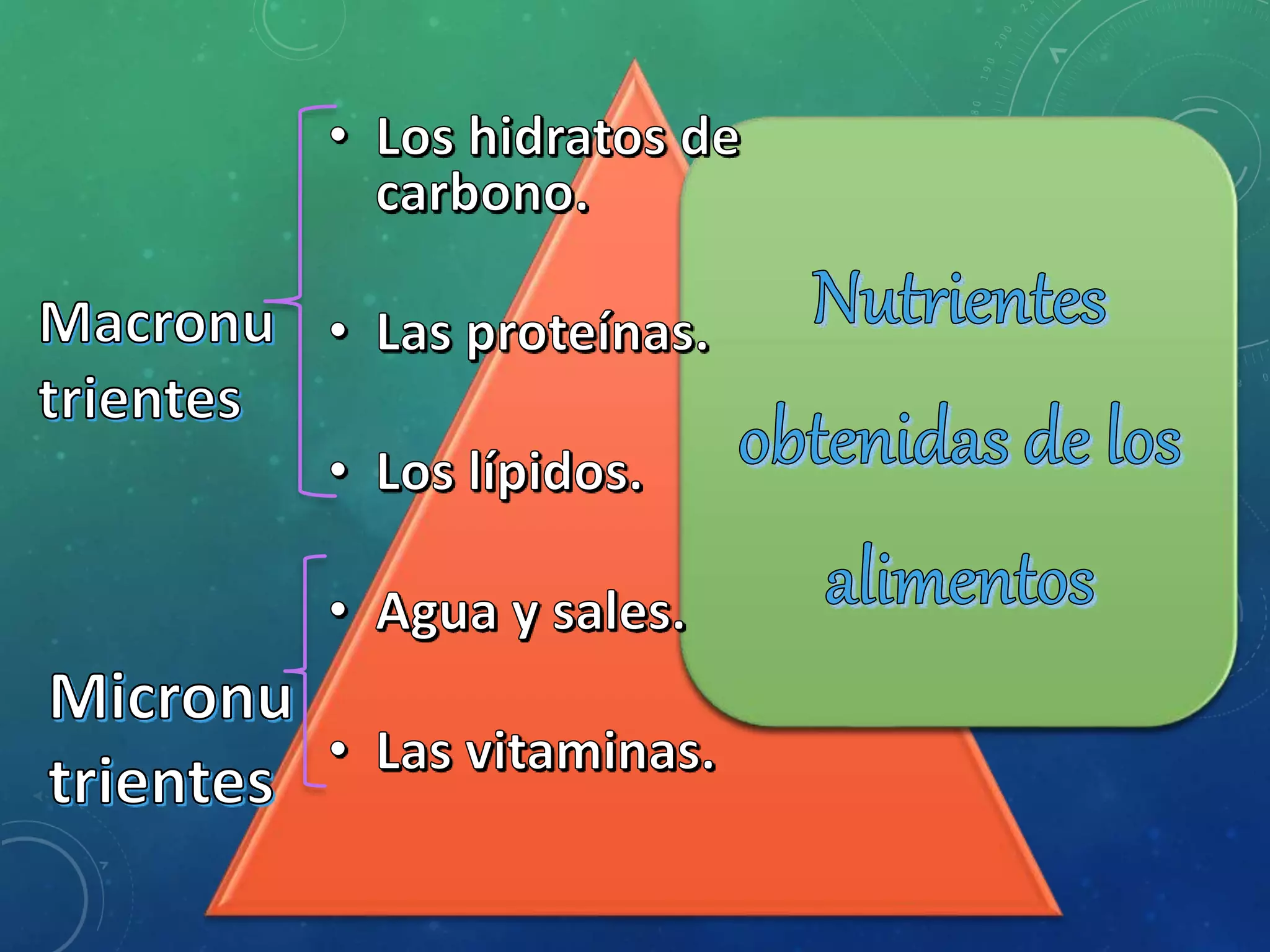 Macronutrientes | PPTX