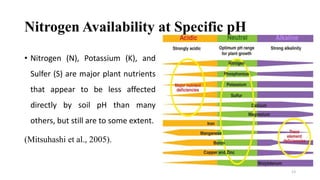 Macronutrient nitrogen | PPT