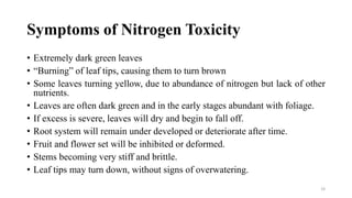 Macronutrient nitrogen | PPTX