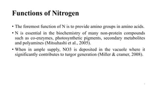Macronutrient nitrogen | PPT