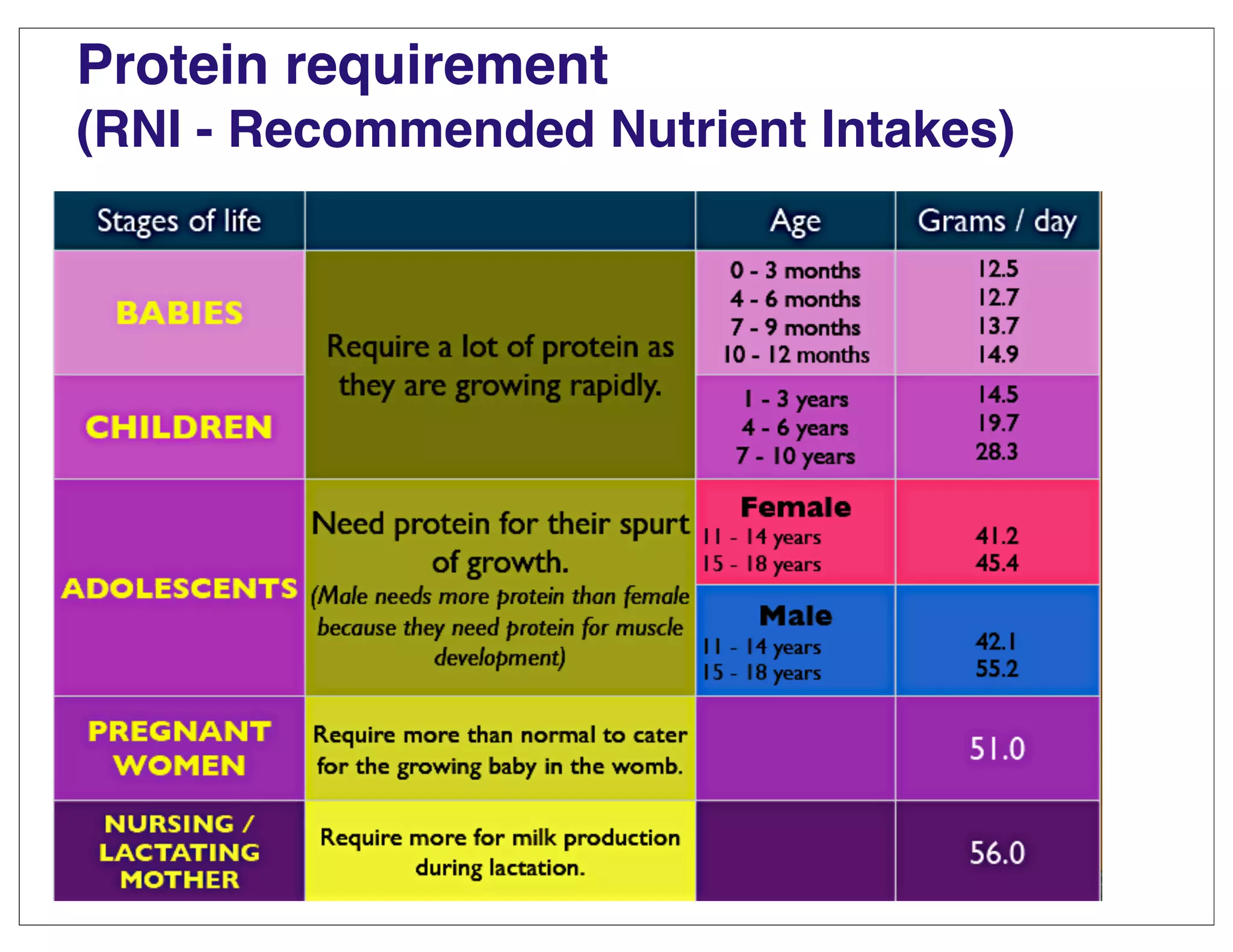 Macronutrients | PDF