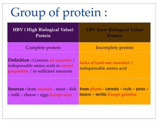 Macronutrients | PDF