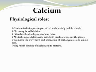 Macronutrients role in plants | PPTX