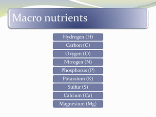 Macronutrients role in plants | PPTX