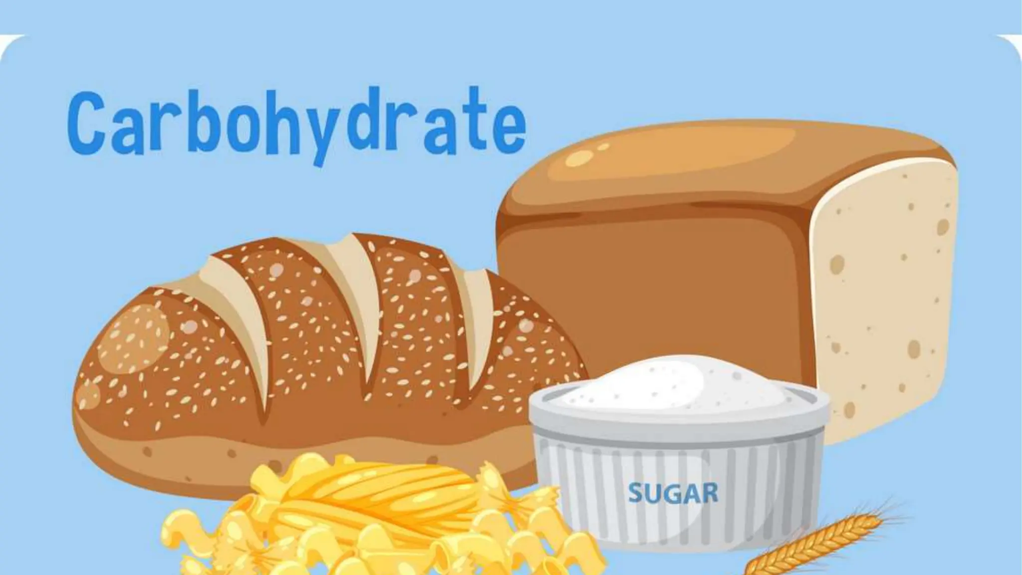 MACRONUTRIENTS-carbohydrates, protein and fats.pptx