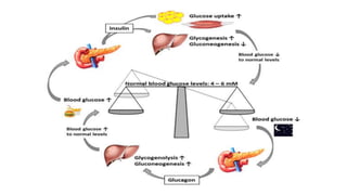 Macronutrients and fuel | PPTX
