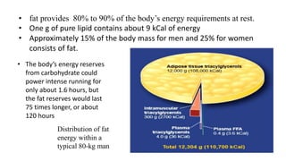 Macronutrients and fuel | PPTX