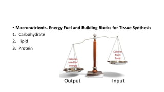 Macronutrients and fuel | PPTX