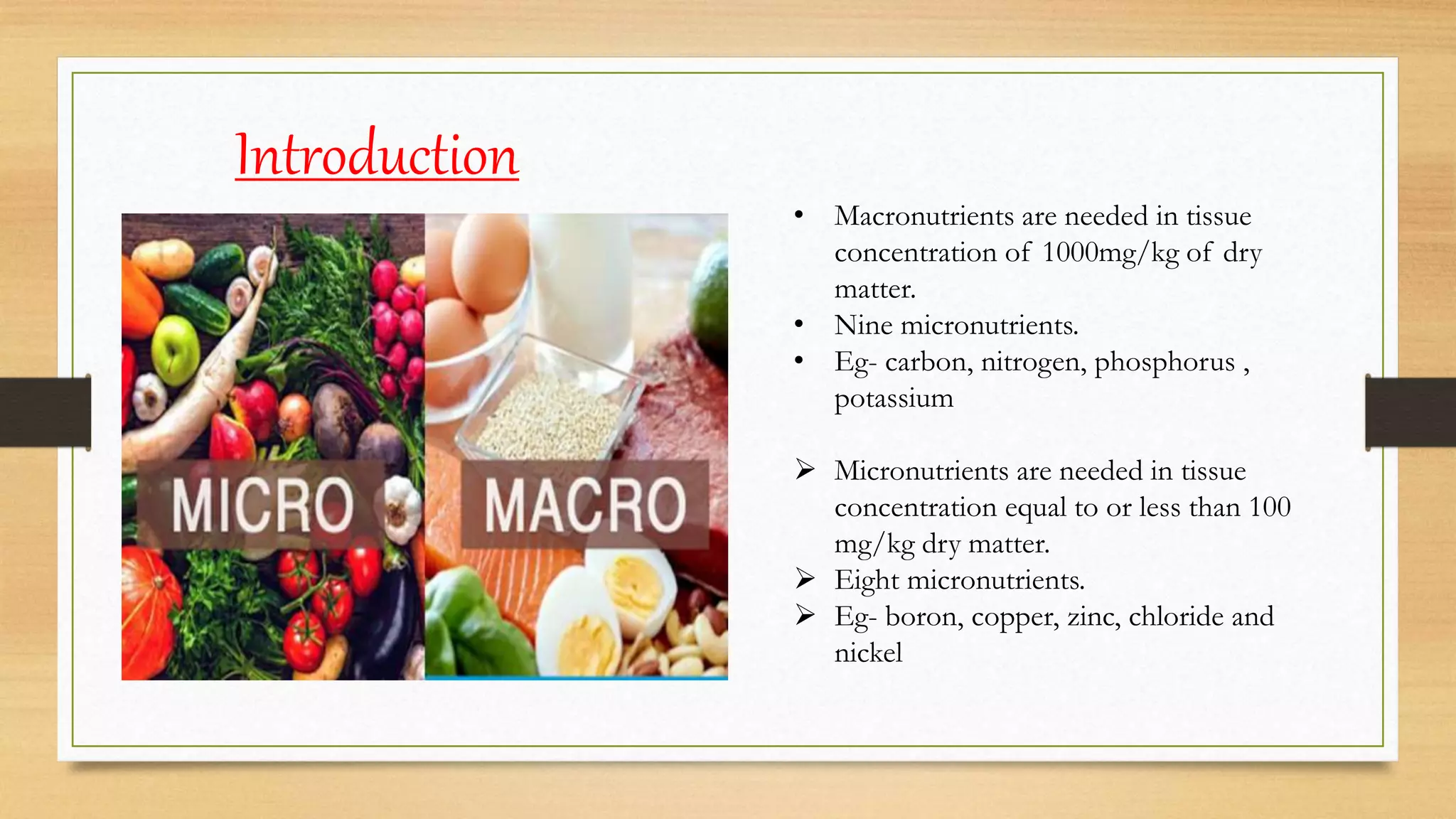 Macronutrients vs Mirconutrients in plants | PPTX