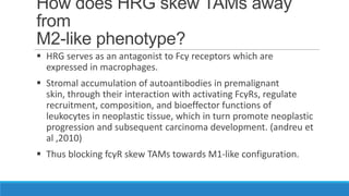 Macrophage polarization by HRG and its effects on Tumor | PPTX