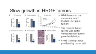Macrophage polarization by HRG and its effects on Tumor | PPT