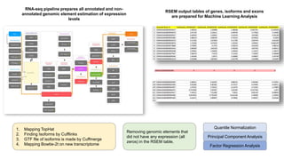 Pine Biotech - Profiling Tumor-associated Macrophages Using RNA-Seq | PPT
