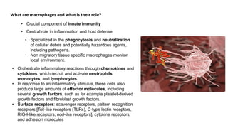 Macrophages and Biomaterials.pptx