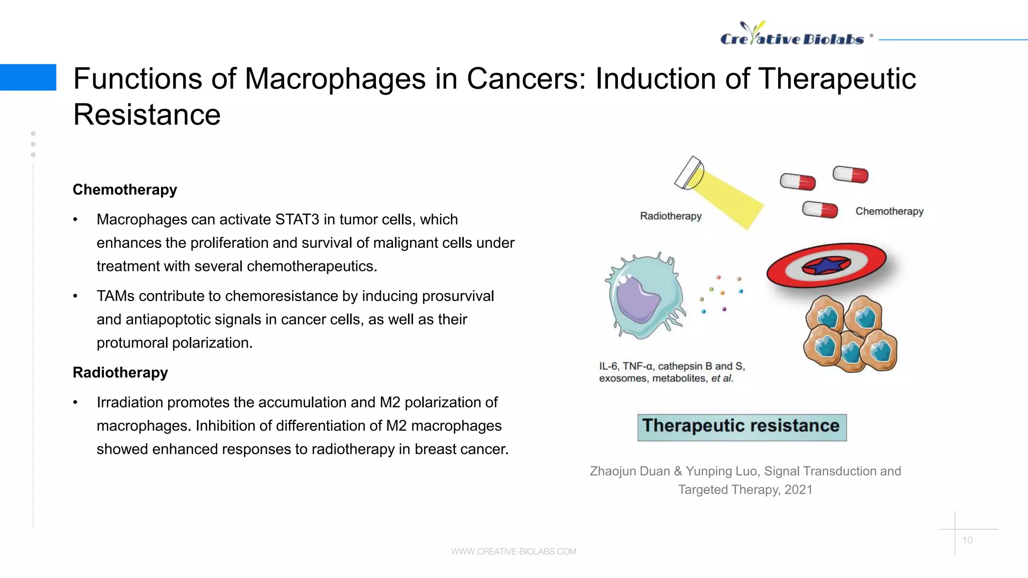 Macrophages as Targets in Cancer Immunotherapy - Creative Biolabs | PPTX