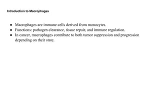 Macrophages In Cancer Biology And Therapy Pptx