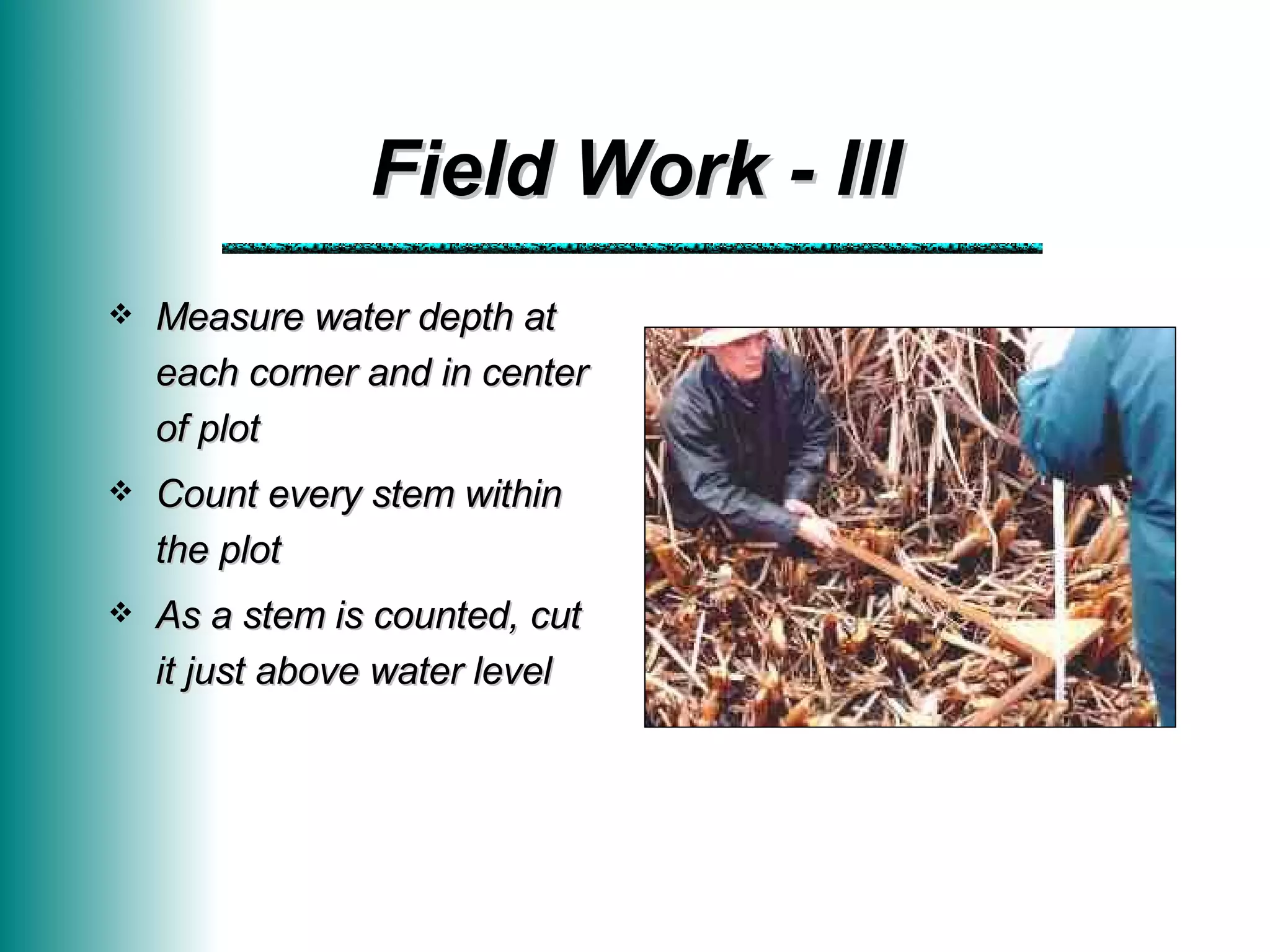 Macrophyte Density in Constructed Wetlands | PPT