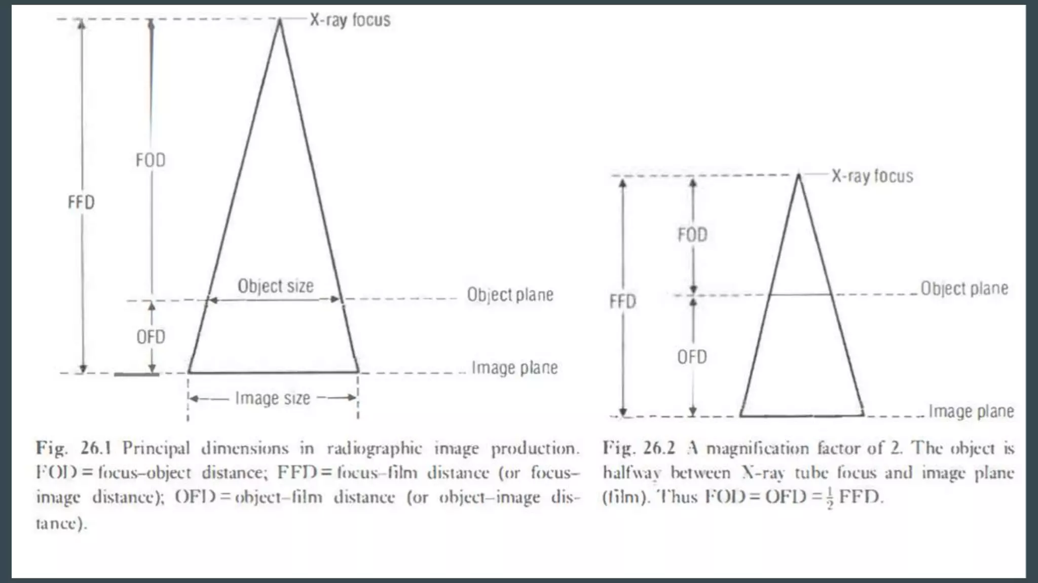 MACRORADIOGRAPHY.pptx