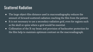 MACRORADIOGRAPHY.pptx