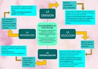 MACRORREGLAS TEXTUALES.pdf