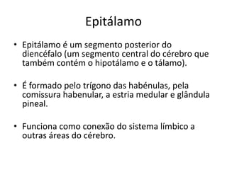 neuroanatomia e a MACROSCOPIA do DIENCÉFALO.pdf