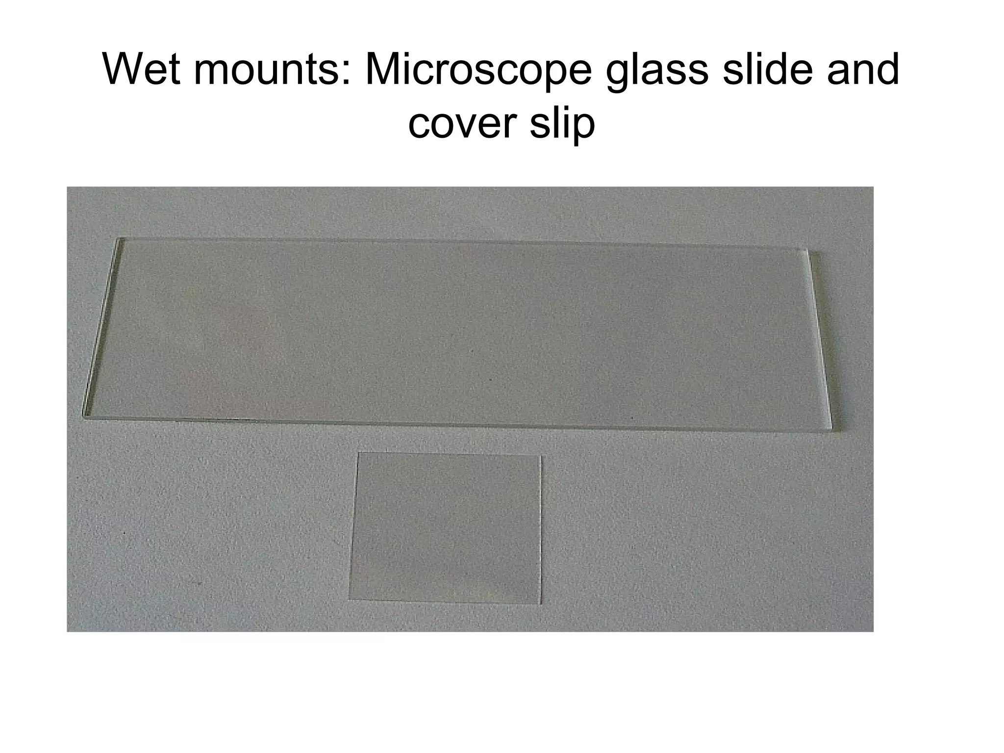 Macroscopic and microscopic examination in bacteriology | PPT