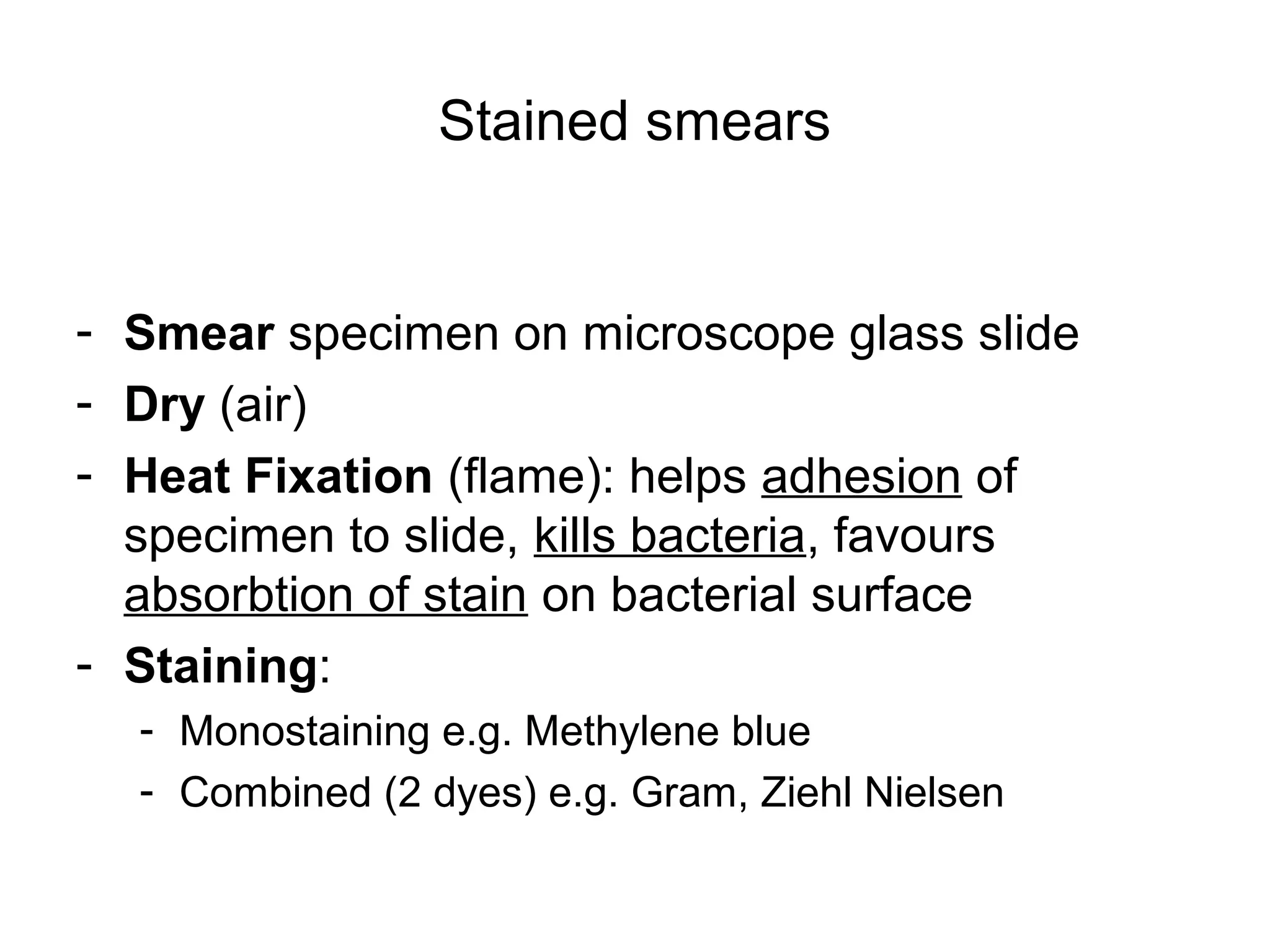 Macroscopic and microscopic examination in bacteriology | PPT