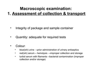Macroscopic and microscopic examination in bacteriology | PPT