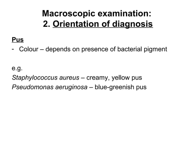 Macroscopic and microscopic examination in bacteriology | PPT