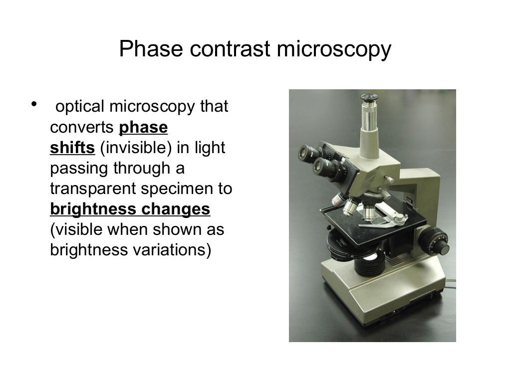 Macroscopic and microscopic examination in bacteriology