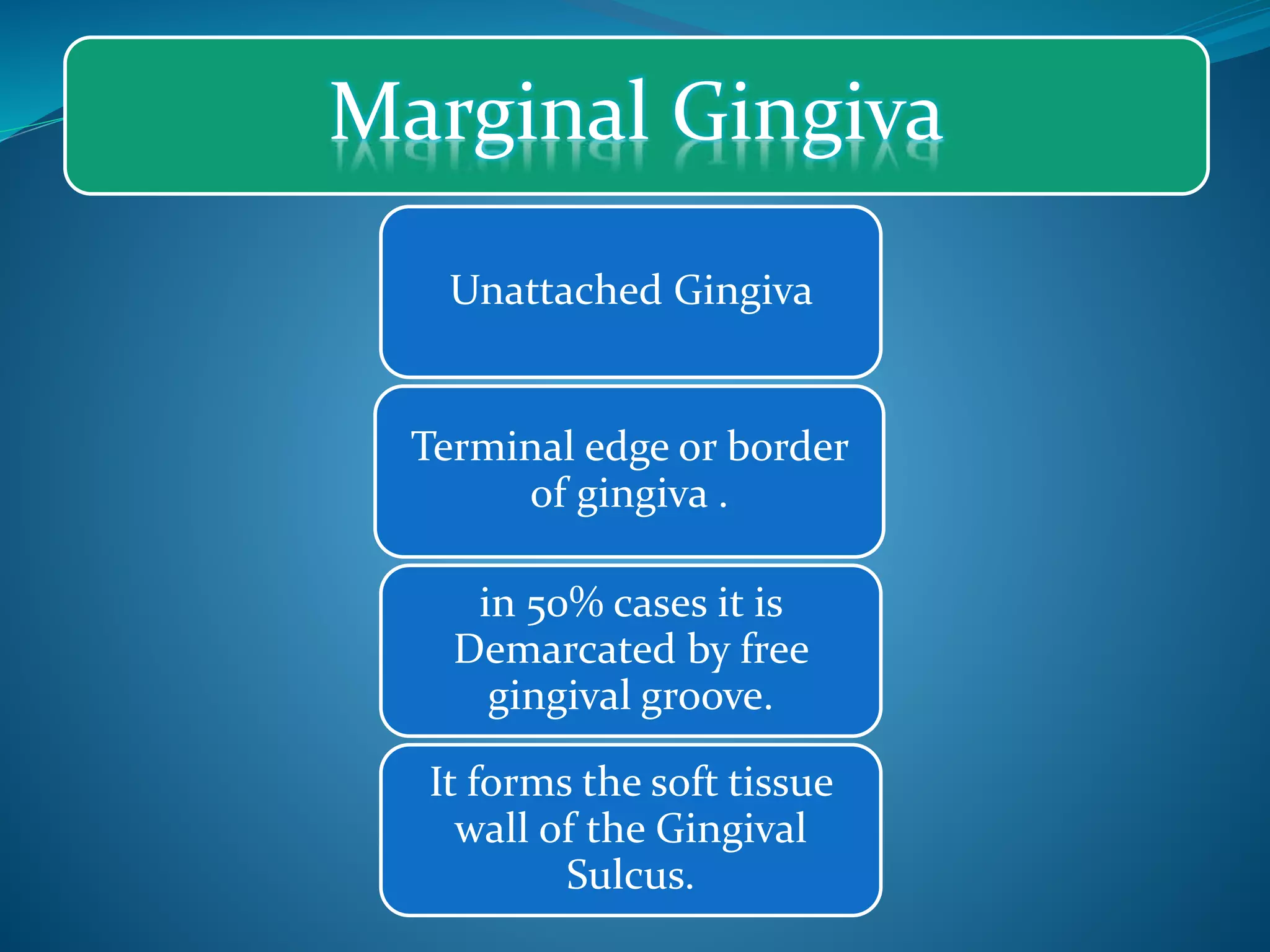 Macroscopic features of gingiva | PPTX