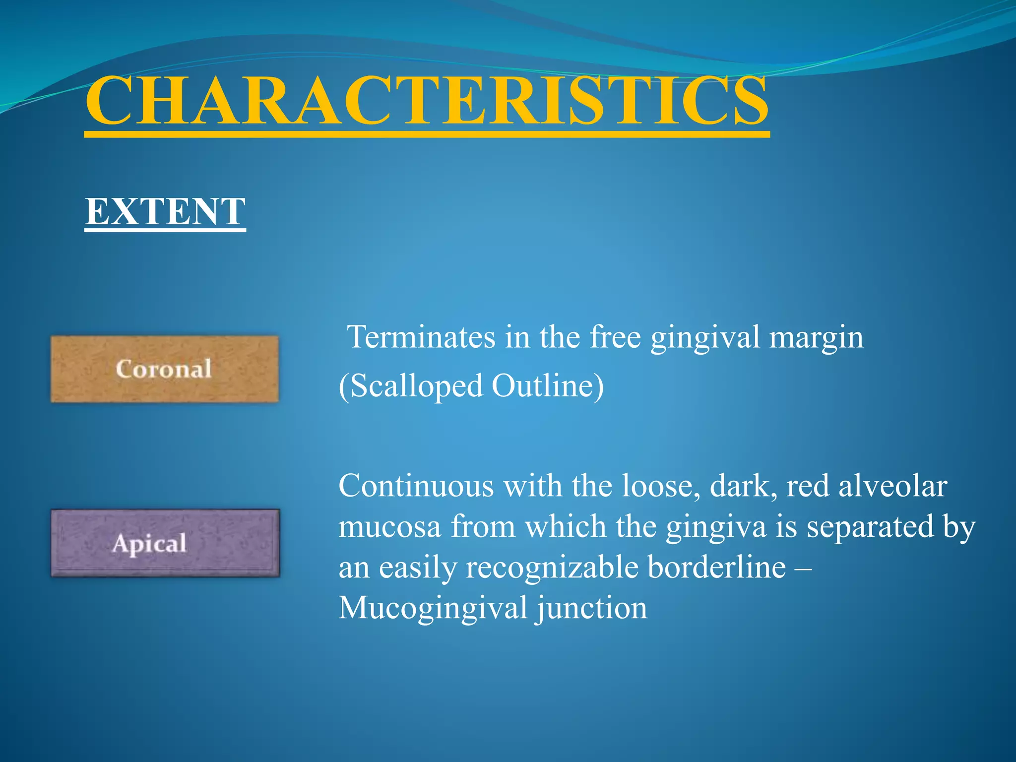 Macroscopic features of gingiva | PPTX