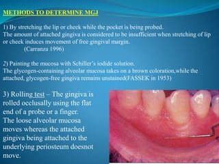 Macroscopic features of gingiva | PPTX