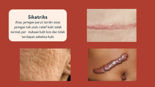Ppt Macroscopic Structure of Skin Rash.pdf