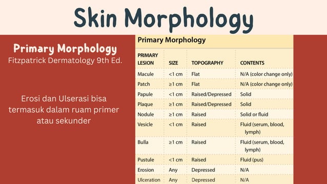 Ppt Macroscopic Structure of Skin Rash.pdf
