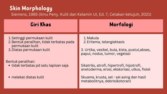 Ppt Macroscopic Structure of Skin Rash.pdf
