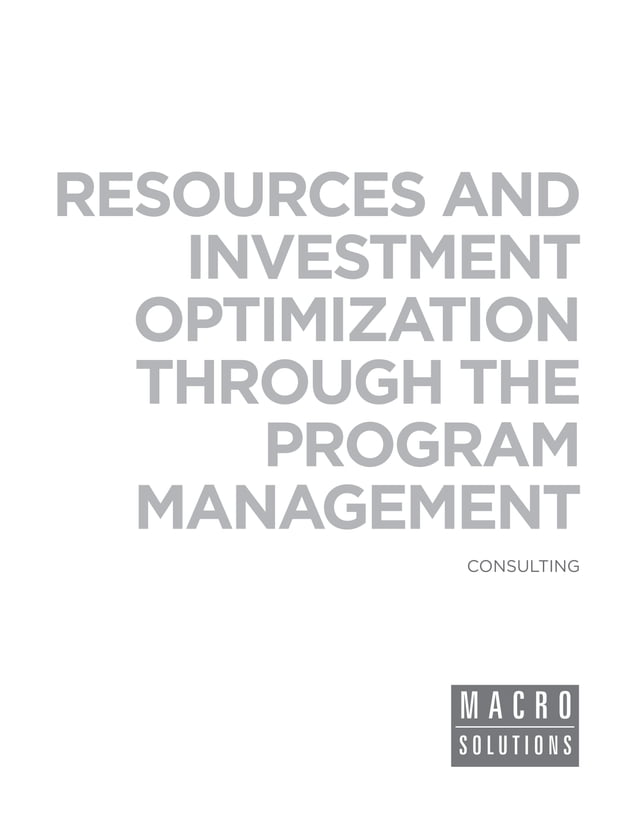 Macrosolutions Consulting Service: Resources and Investment ...