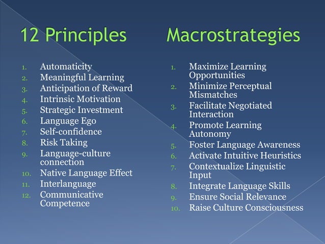Macrostrategies and 12 principals | PPTX