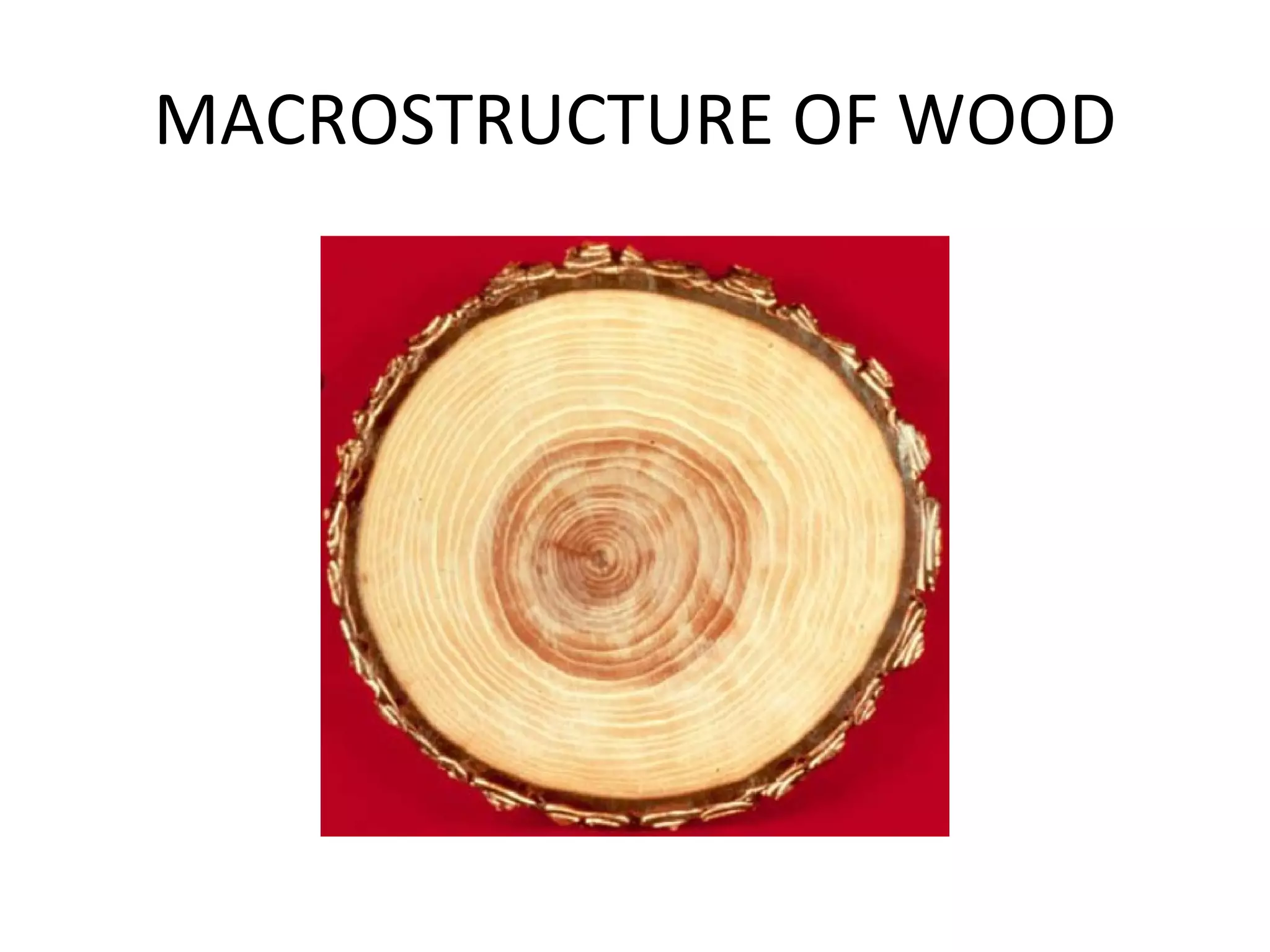 Macrostructure of wood | PPT