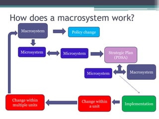 Macrosystems | PPT