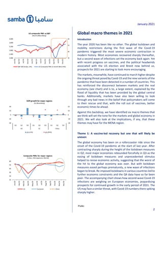 Macro Themes 2021 | PDF | Infectious Diseases | Diseases and Conditions
