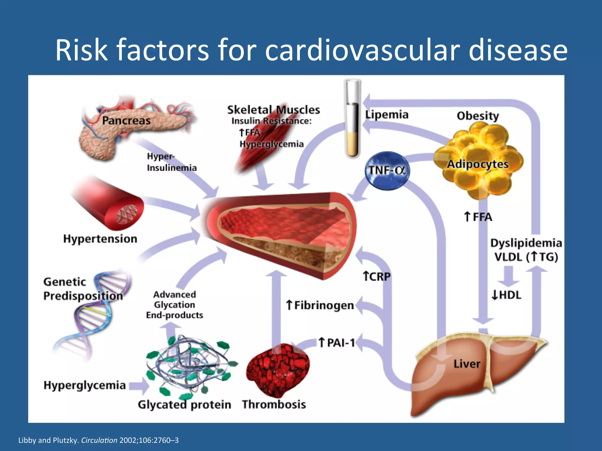 Macrovascular disease in diabetes | PDF