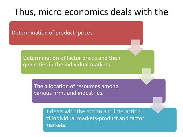 MACRO VS MICRO ECONOMICS.pptx