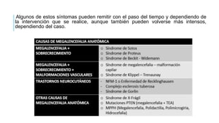 macro y microcefalia | PPTX