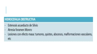 macro y microcefalia | PPTX