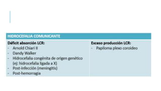 macro y microcefalia | PPTX
