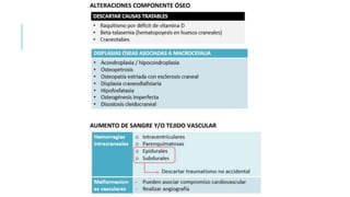 macro y microcefalia | PPTX