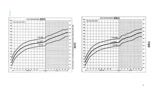 macro y microcefalia | PPTX