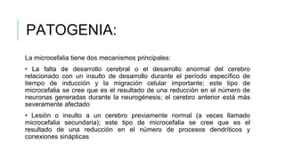 macro y microcefalia | PPTX